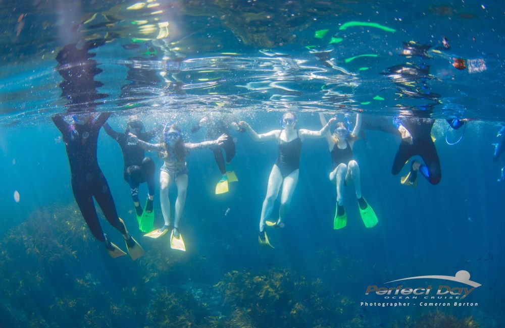 The Poor Knights Islands